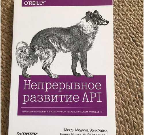 Мехди Меджуи Непрерывное развитие API