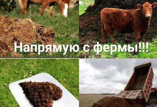 Навоз перегНой