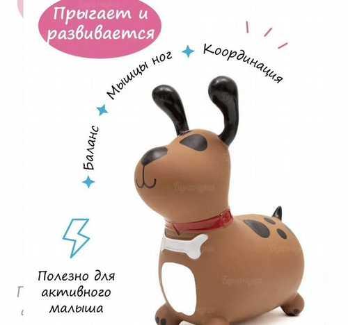 Прыгун собака