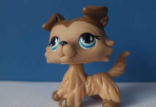 Littlest pet shop lps лпс стоячки колли