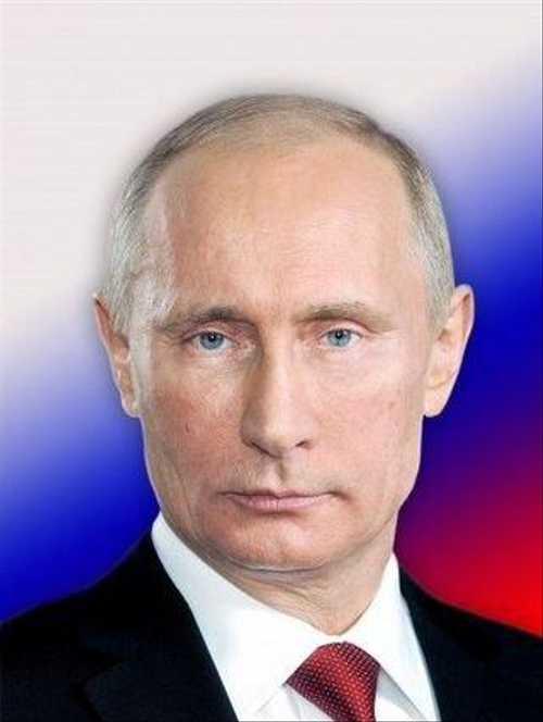 Путин владимир владимирович портрет