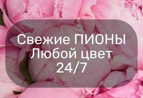 Доставка цветов, пионы Розы Москва 25 51 101 пион