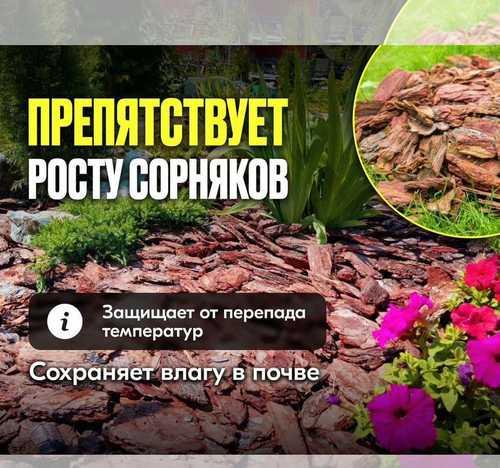 Мульча лиственницы и сосны оптом и в розницу