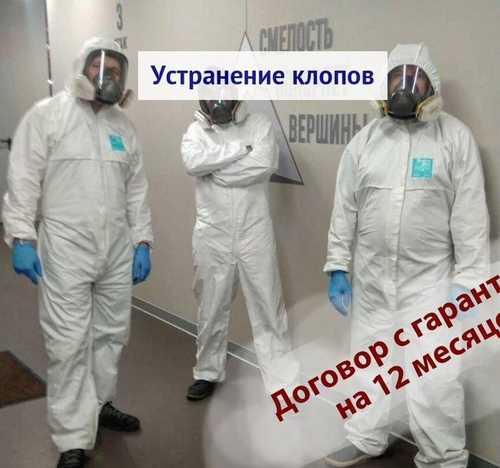 Уничтожение клопов тараканов клещей