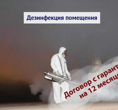 Уничтожение клопов тараканов грибка плесени
