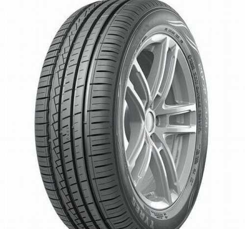 Ikon Tyres Autograph Eco 3 165/70 R14