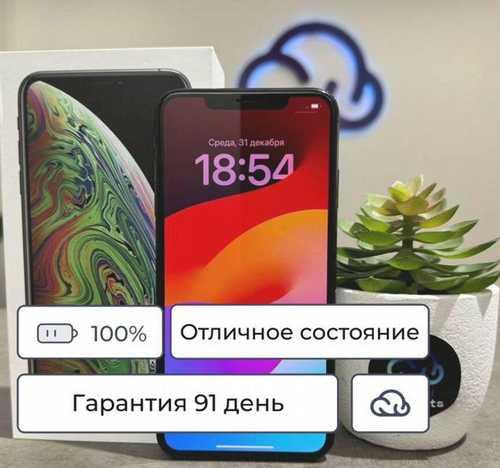 iPhone Xs Max, 256 ГБ