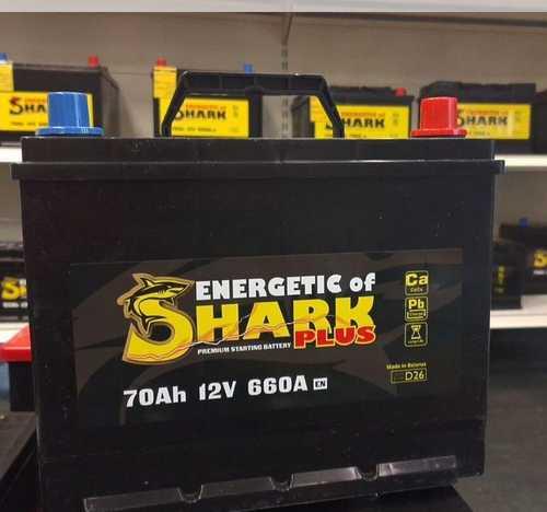 Energetic shark plus 70 Ah (asia)