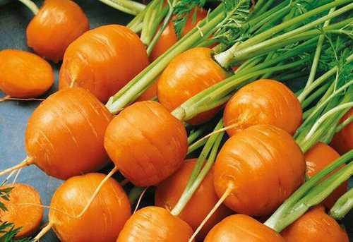 Беби-морковь, семена, 100 шт