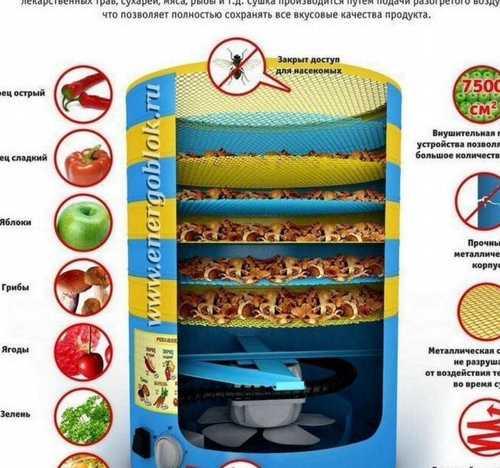 Сушилка для овощей и фруктов