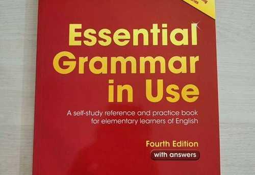 Essential Grammar In Use Fourth Edition