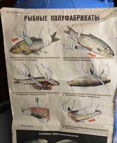 Плакаты постеры СССР пособие ретро коллекция