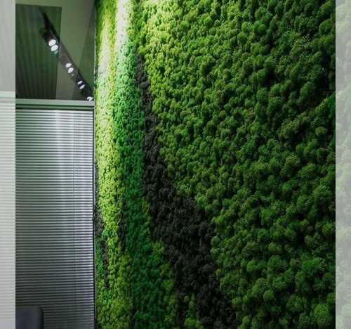 Создайте зеленую гармонию: стены из растений. Арт: