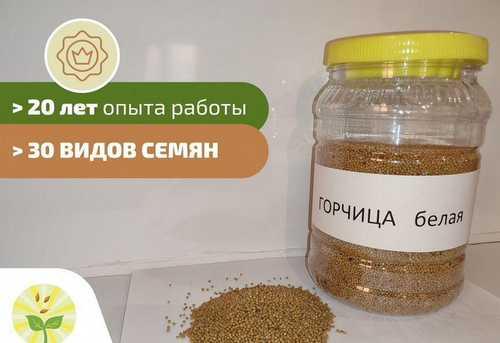 Семена горчицы