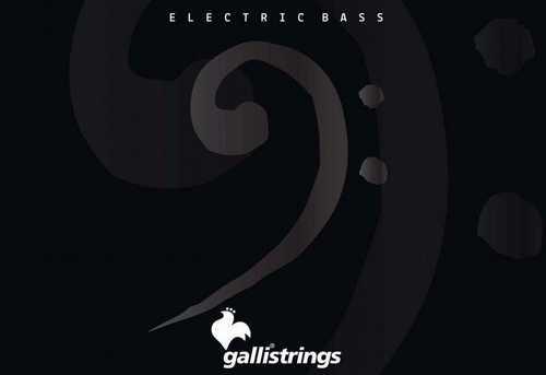 Струны для бас гитары Galli Strings BSN35130