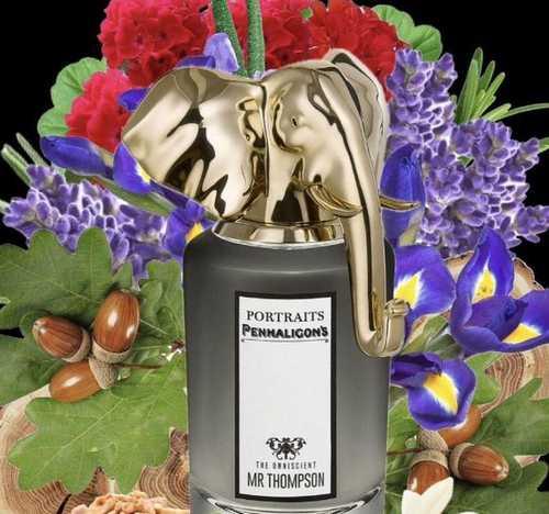 The Omniscient Mr Thompson Penhaligon's 10 мл