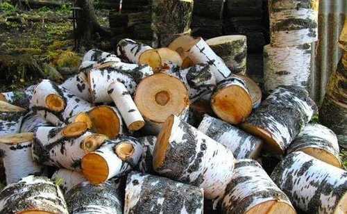 Продам дрова березовые