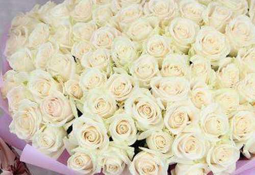 Букет из 101 белой розы premium 60-70 см (Эквадор)