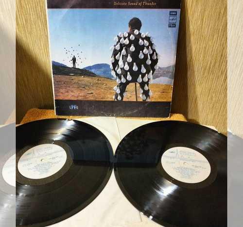 Pink Floyd – Delicate Sound Of Thunder (2LP, Мелод