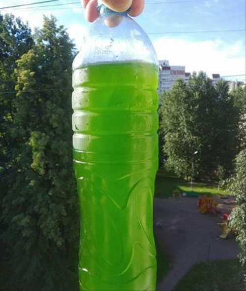 Хлорелла для водоемов