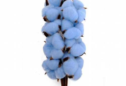 Хлопок Синий на палке сухоцвет оптом (1 штука)