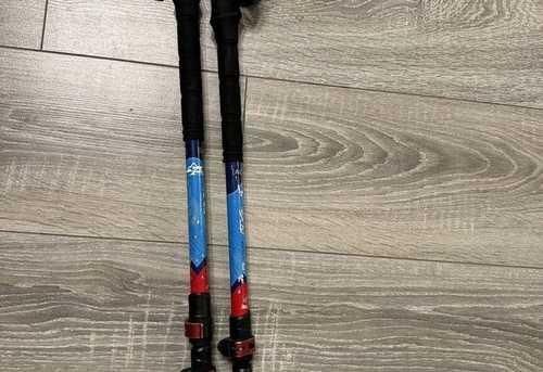 Лыжные палки телескопические