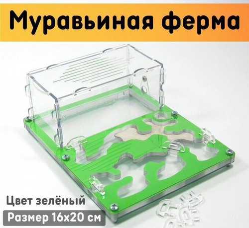 Муравьиная ферма "Для старта" размер 20х16х8см цве
