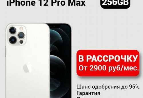 iPhone 12 Pro Max, 256 ГБ