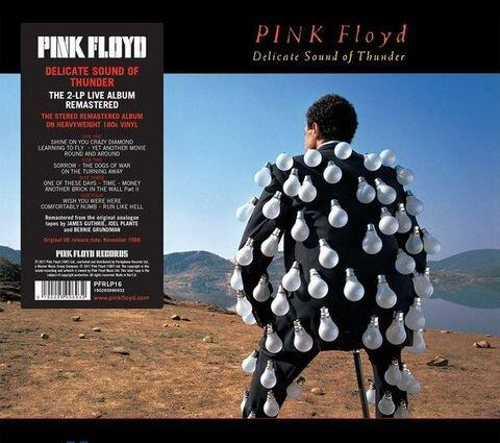 Виниловая пластинка Pink Floyd delicate sound OF t