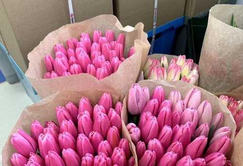 Тюльпаны предзаказ к 8 марта
