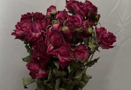 Розы кустовые сухие букет