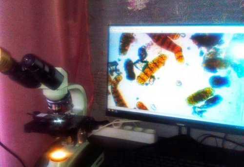Бинокулярный оптический микроскоп ломо микмед 5