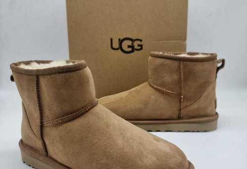 Ugg мужские