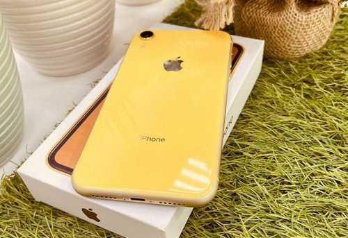 Actives iPhone Xr 64GB Yellow