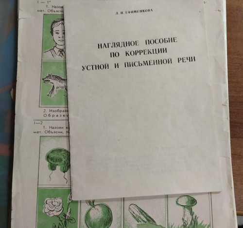 Коррекция устн. и письм. речи. Ефименкова. (листоч