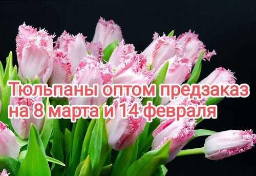 Оптом тюльпаны к 8 марта предзаказ