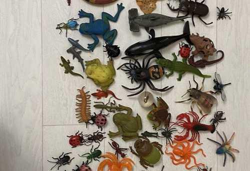 Коллекция насекомых,рептилий и морских рыб