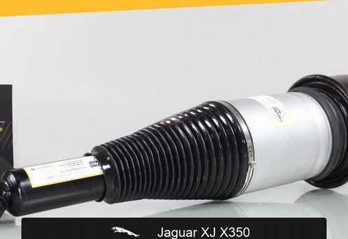 Пневмостойка для Jaguar XJ X350 (2003—2009) Задняя