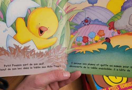 Книги для малышей на французском языке