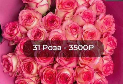 Букет 31 роза