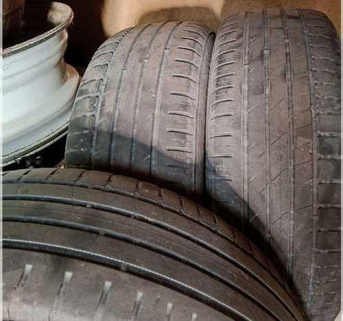 Nokian Tyres Hakka Black 195/65 R15