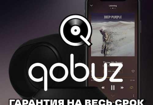 Qobuz Studio Premier 1-36мес Продление