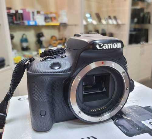 Canon EOS 100D Body пробег: 74659 кадров