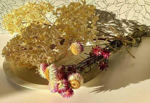 Сухоцветы гортензии и гелихризума на веточках