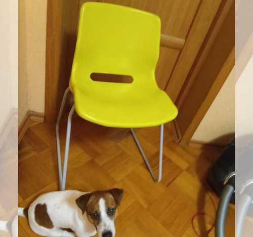 Стул IKEA Snille Италия. Как новый