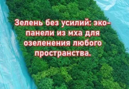 Зелень без усилий: эко-панели из мха для озеленени