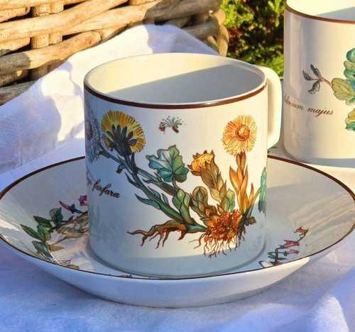 Кофейная пара Villeroy&Boch Botanica tussilago farfara