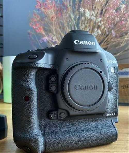 Canon 1dx mark ii