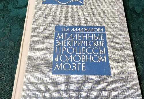 Медленные электрические процессы в головном мозге