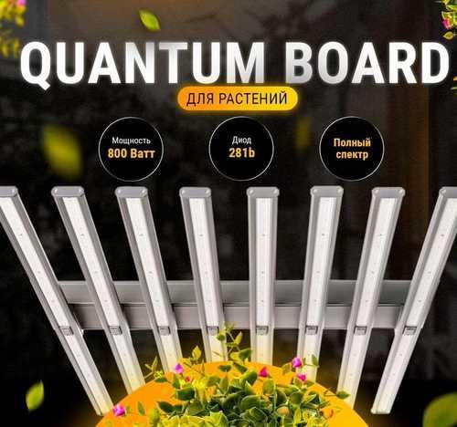 Quantum Board 800W Samsung 281b Для Растений